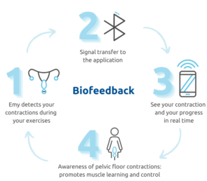 Is biofeedback right for pelvic floor training ? - Fizimed
