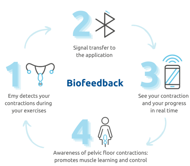 Is biofeedback right for pelvic floor training ? - Fizimed