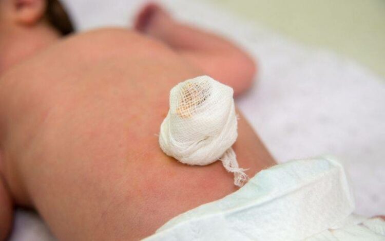 Tout savoir sur le Cordon Ombilical - Fizimed